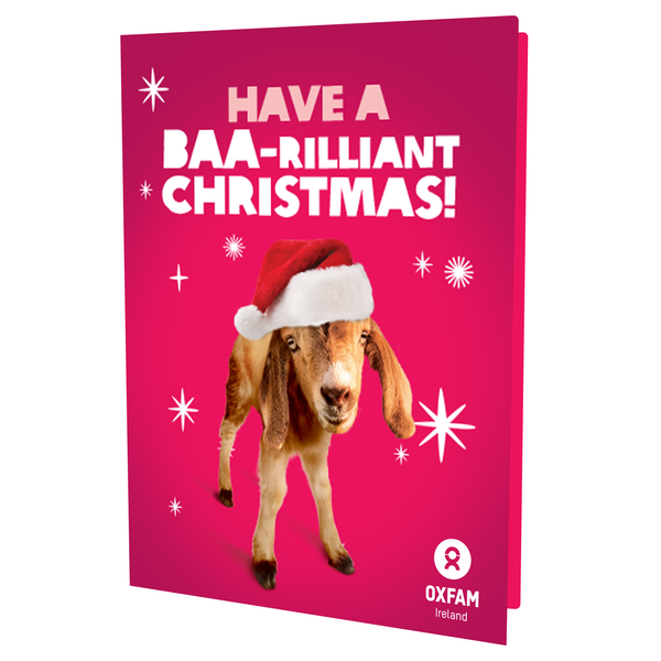 Animal Bundle – Oxfam Ireland Uwrapped